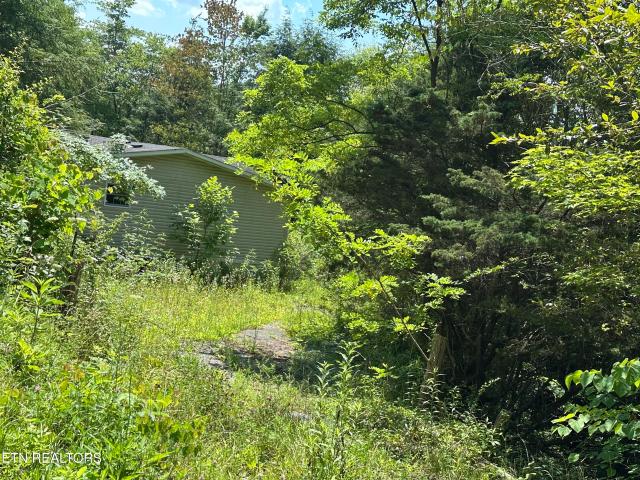 Hwy 119, Calvin, KY 40813