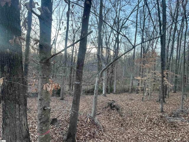 Hwy 221 N Greenwood Road