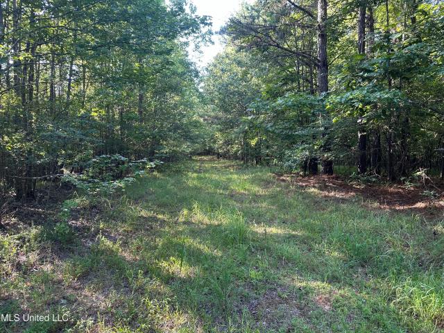 Hwy 32, Oakland, MS 38948