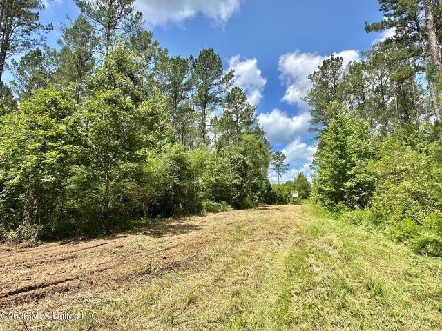 Hwy 43 Highway, Kosciusko, MS 39090