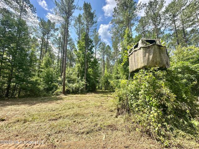 Hwy 43 Highway, Kosciusko, MS 39090