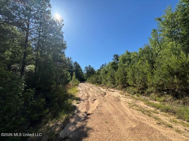 Hwy 43, Poplarville, MS 39470