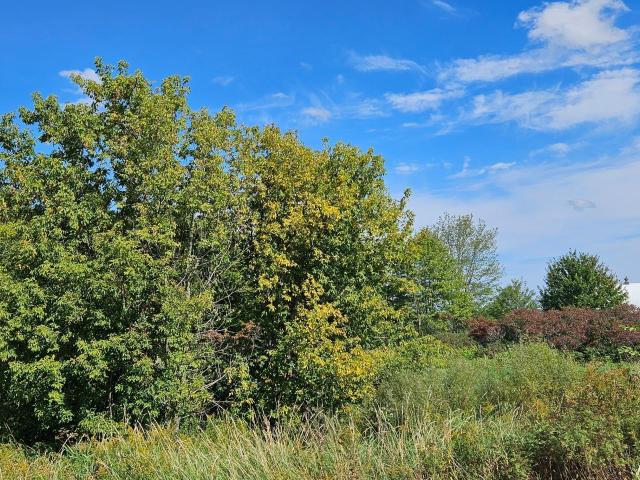 hwy 70