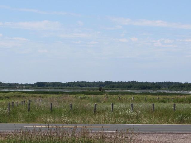 Hwy 87/Bucklund Road