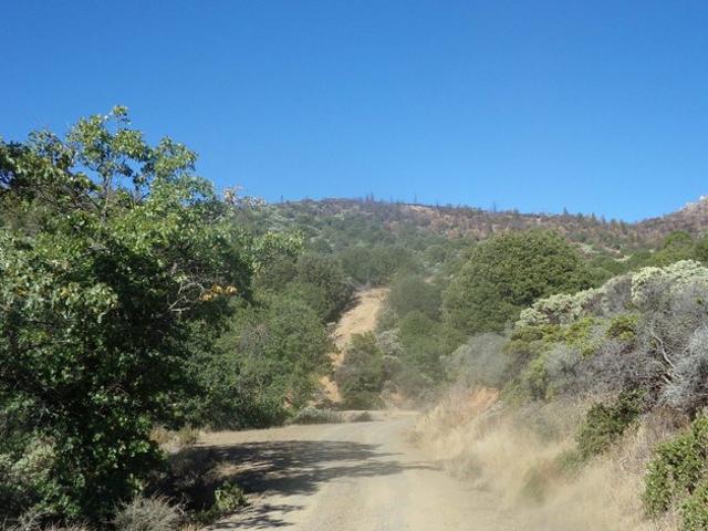 Humbug Rd, Yreka, CA 96097