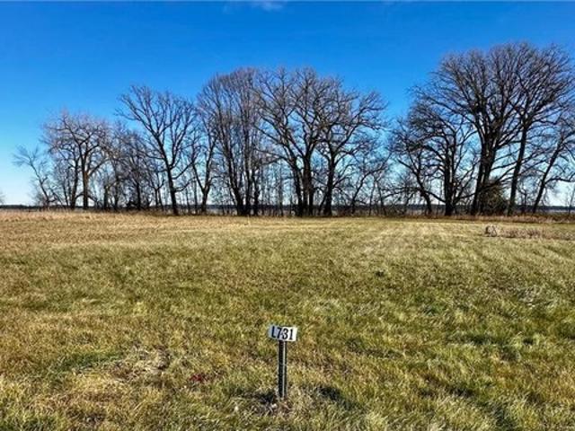Hummingbird Way, Alexandria, MN 56308