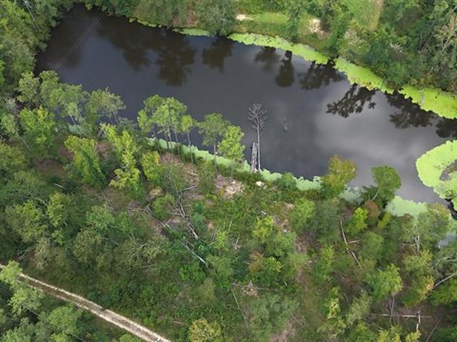 Hummingbird Dr, Trenton, SC 29847