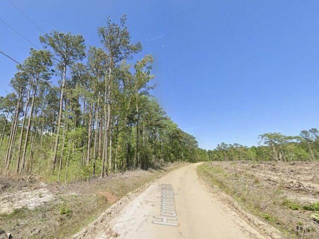 Hummingbird Dr, Georgetown, SC 29440