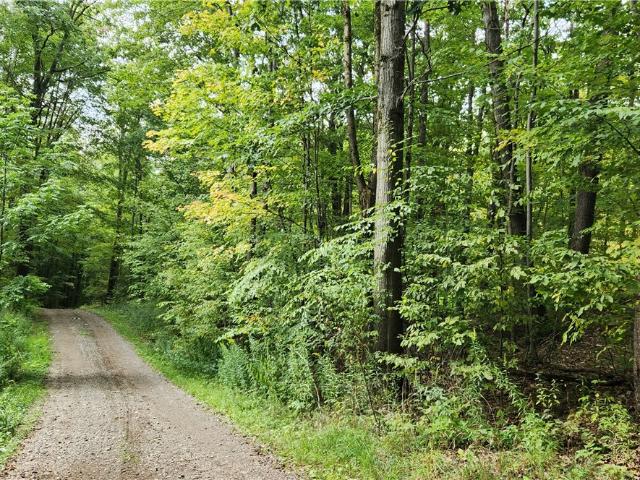 Humphrey Rd, Great Valley, NY 14741 | MLS #R1634