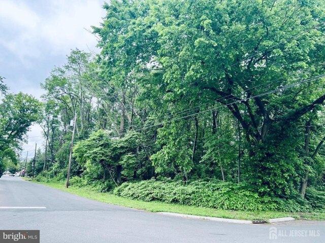 Hunt Ave, Hamilton, Plot For Sale