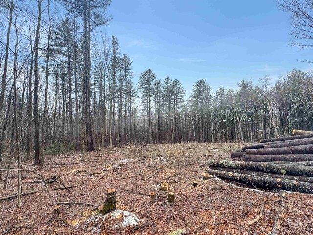 Hunt Rd, Wardsboro, Plot For Sale