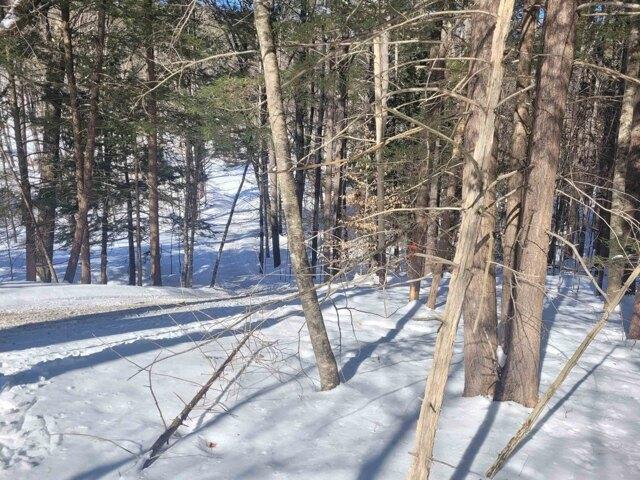 Hunt Rd, Westmoreland, Plot For Sale