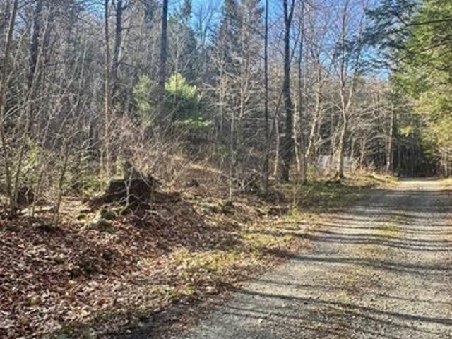Hunter Brook Rd, Marlboro, VT 05344