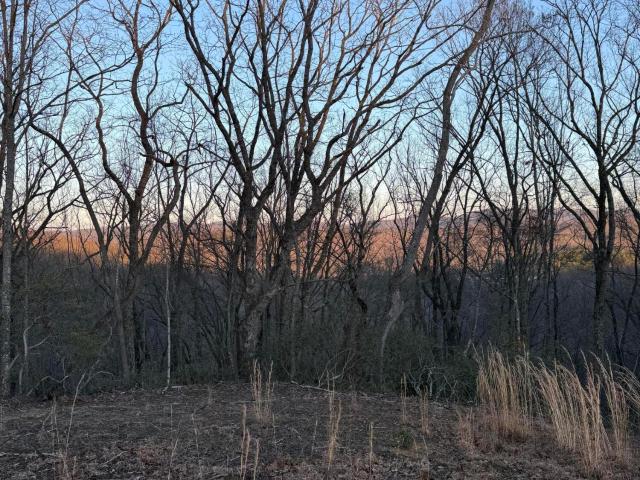 Hunter Hills Drive, Oneida, TN 37841