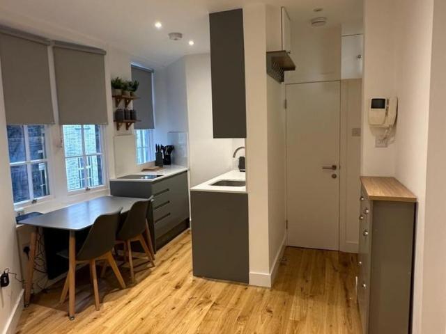 Hunter Street, Bloomsbury WC1N Studio to rent £1,995 pcm £460 pw
