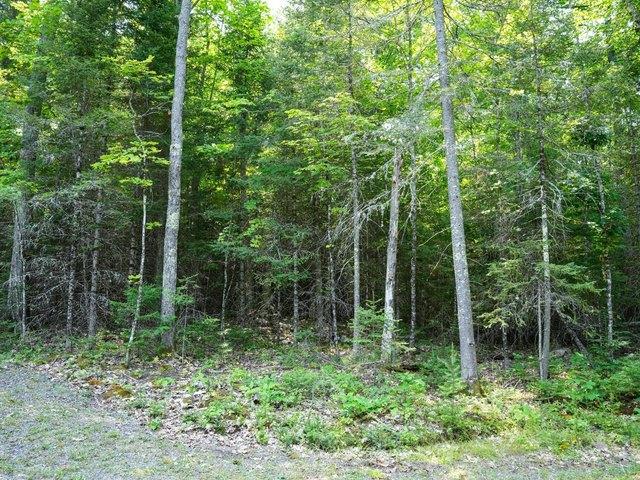 Hunters Ridge Rd Lot 8, Phelps, WI 54554