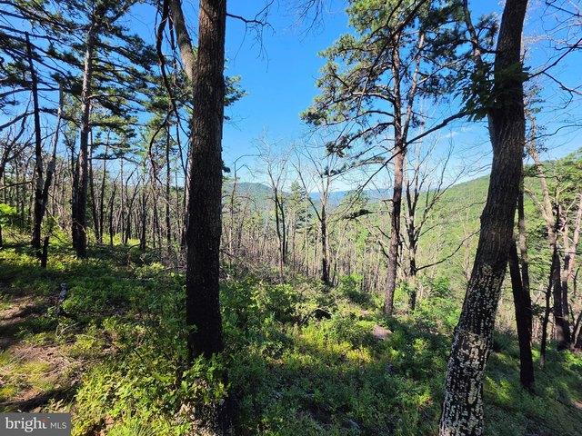 Hunters Ridge Trl Lot 75, Moorefield, WV 26836