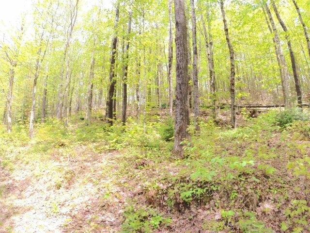 Hunting Camp Rd, Holland, Plot For Sale