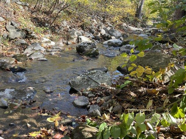 Hunting Creek Rd, Big Island, VA 24526