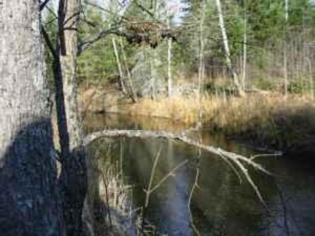 Hunting Land  River frontage  Home site Remer for sale in Brainerd, Minnesota