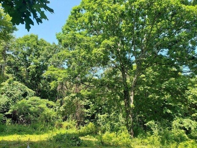 Huntington MA 01050 105095719