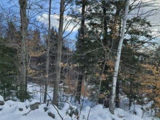 Huntington Hill Rd, Weare, Plot For Sale
