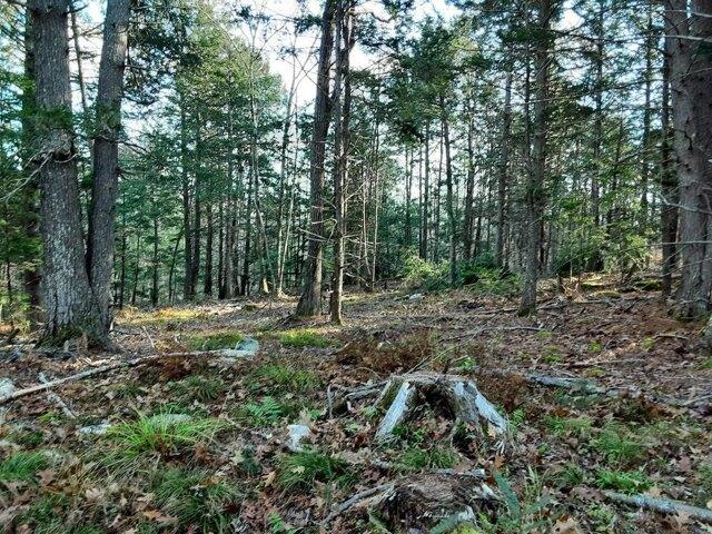 Hunts Meadow Rd, Pittston, Plot For Sale