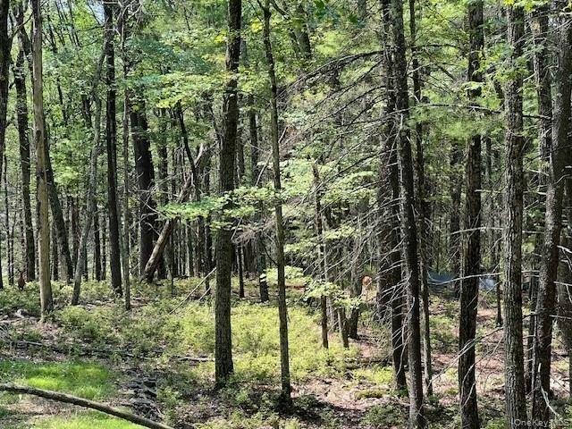 Hunczak Blvd Lot 18, Glen Spey, NY 12737