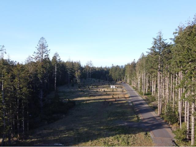 Hubbard Ln. 5
