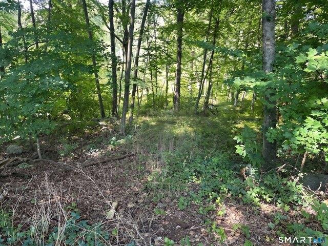 Hubbell Mountain Rd, Sherman, Plot For Sale