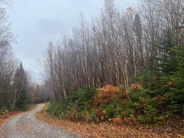 Hudson Rd, Canaan, Plot For Sale
