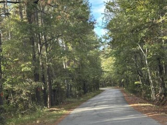 Hudson Rd Lot,summerton, Plot For Sale