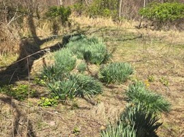 Huffville Rd Lot 11743, Pilot, VA 24138