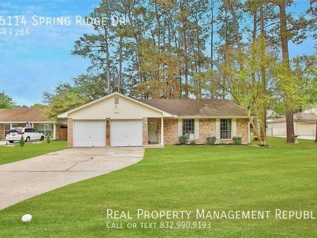 Huge yard with plenty room for everyone