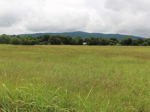 Hughes St Lot 0, Piedmont, AL 36272