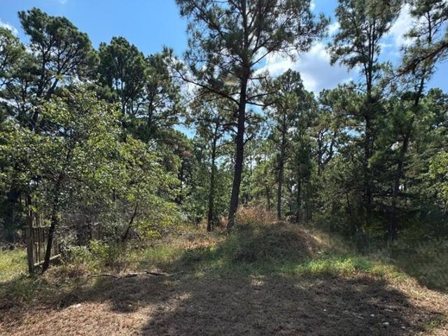 Hula Ln, Bastrop, TX 78602