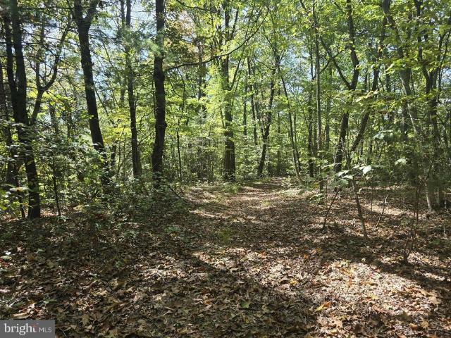 Hurt Hollow Rd