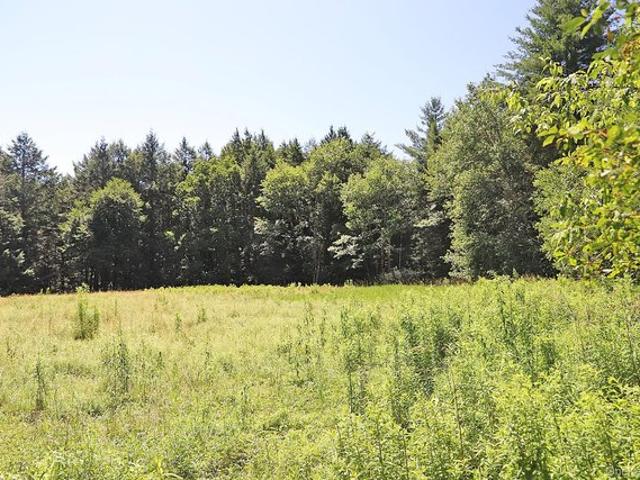 Hurd Rd Lot 4A, Bethel, NY 12720