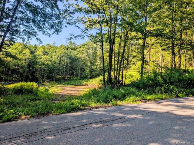 Hurd Rd, Swan Lake, NY 12720