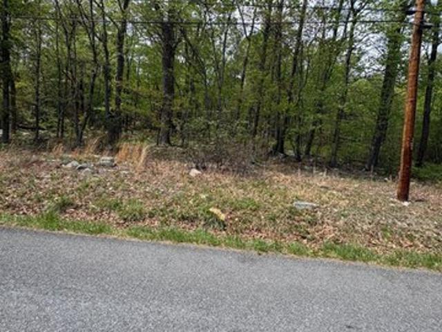 Huron Trl Lot 37, Winchester, VA 22602