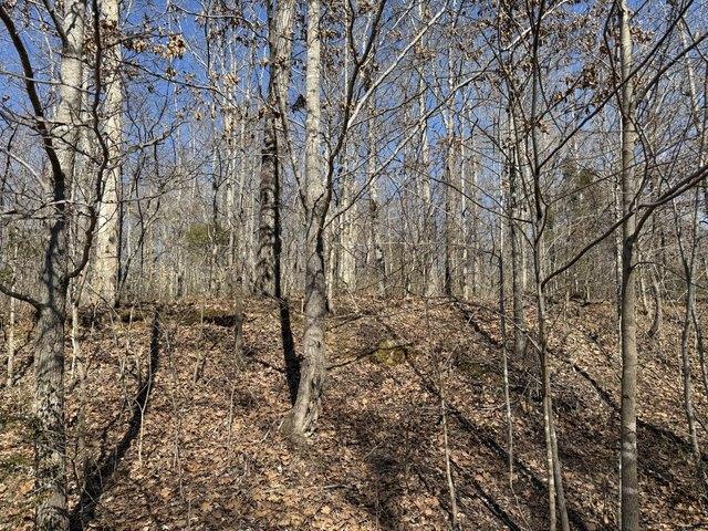Hurricane Loop, Tennessee Ridge, TN 37178