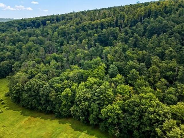 Hurricane Rd Lot Backland, Westmoreland, NH 03467