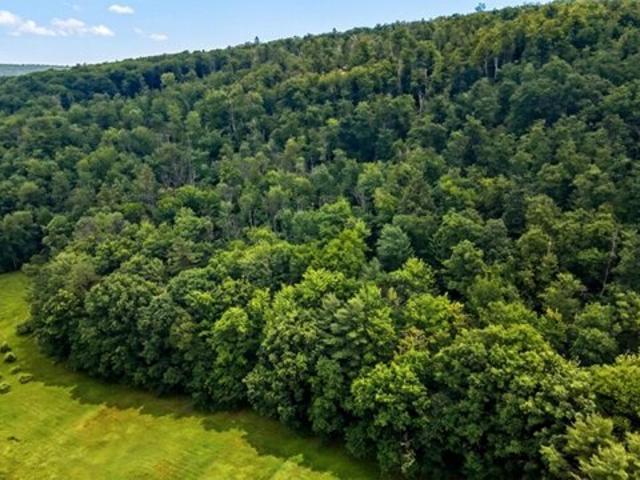 Hurricane Rd Lot Backland, Westmoreland, Plot For Sale