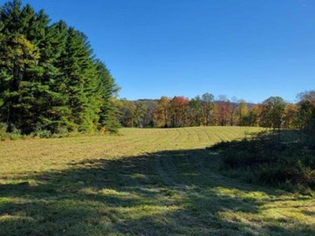 Hurricane Ridge Rd, CharmcO, WV 25958