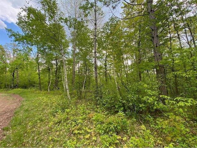Hustvet Dr Lot 9, Trego, WI 54888
