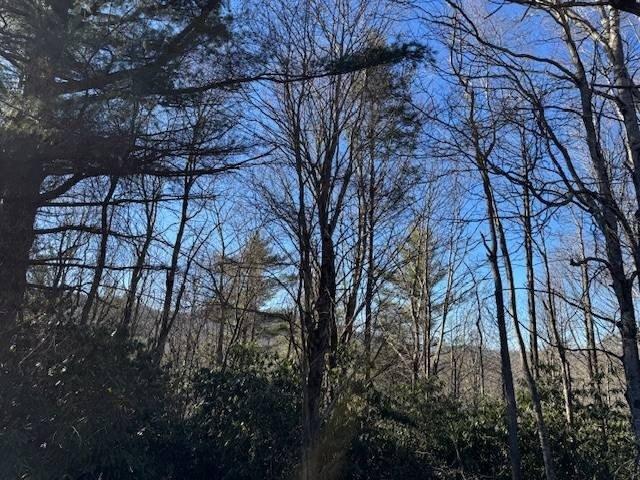 Huskins Dr, Jonas Ridge, NC 28641
