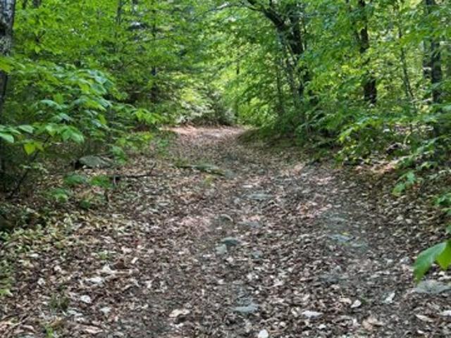 Hutchinson Rd, Linneus, Plot For Sale
