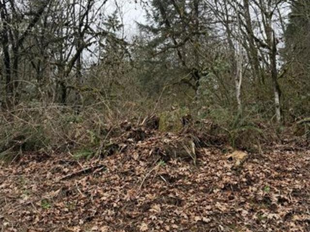 Hutchinson Rd, Rainier, OR 97048