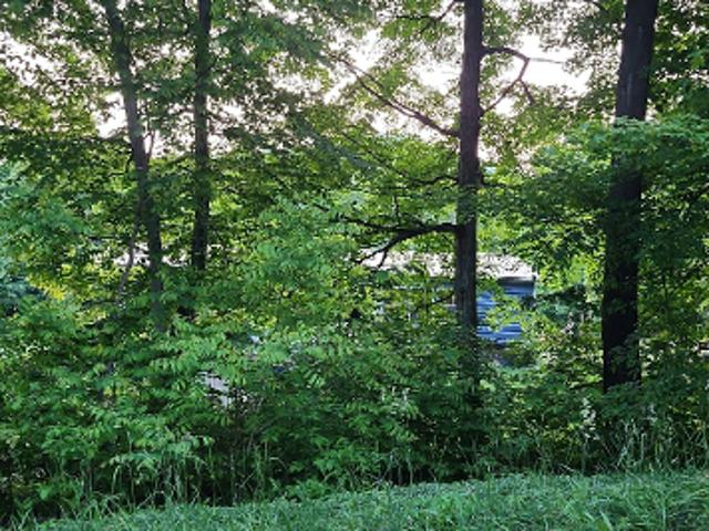 Hyner Run Road Aka Box 56 Hyner Run Road