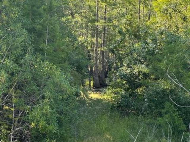 Hyacinth Way, Moss Point, MS 39562